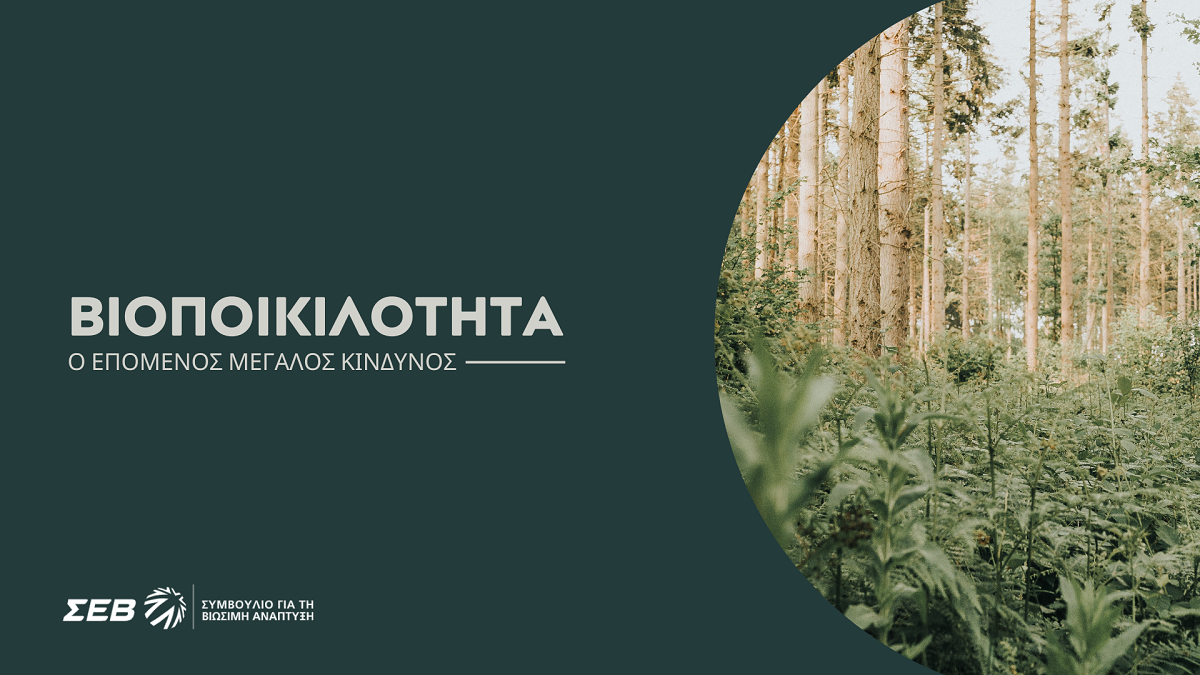ΣΕΒ: Το νέο πλαίσιο υποχρεώσεων των επιχειρήσεων για την προστασία της ...
