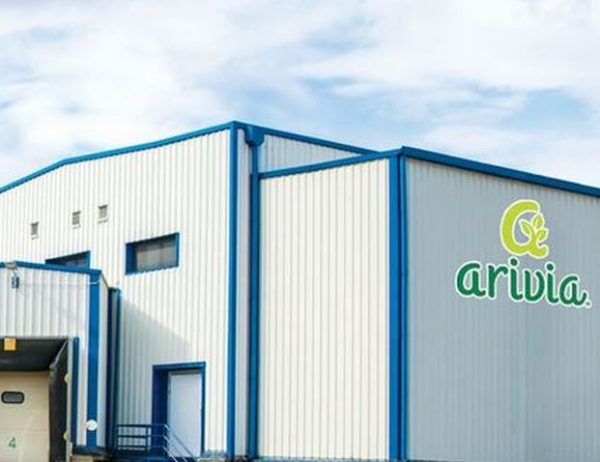 Arivia: Η ακρίβεια «κατάπιε» τα φυτικά τυριά – Μείωση 36,5% στα καθαρά ...