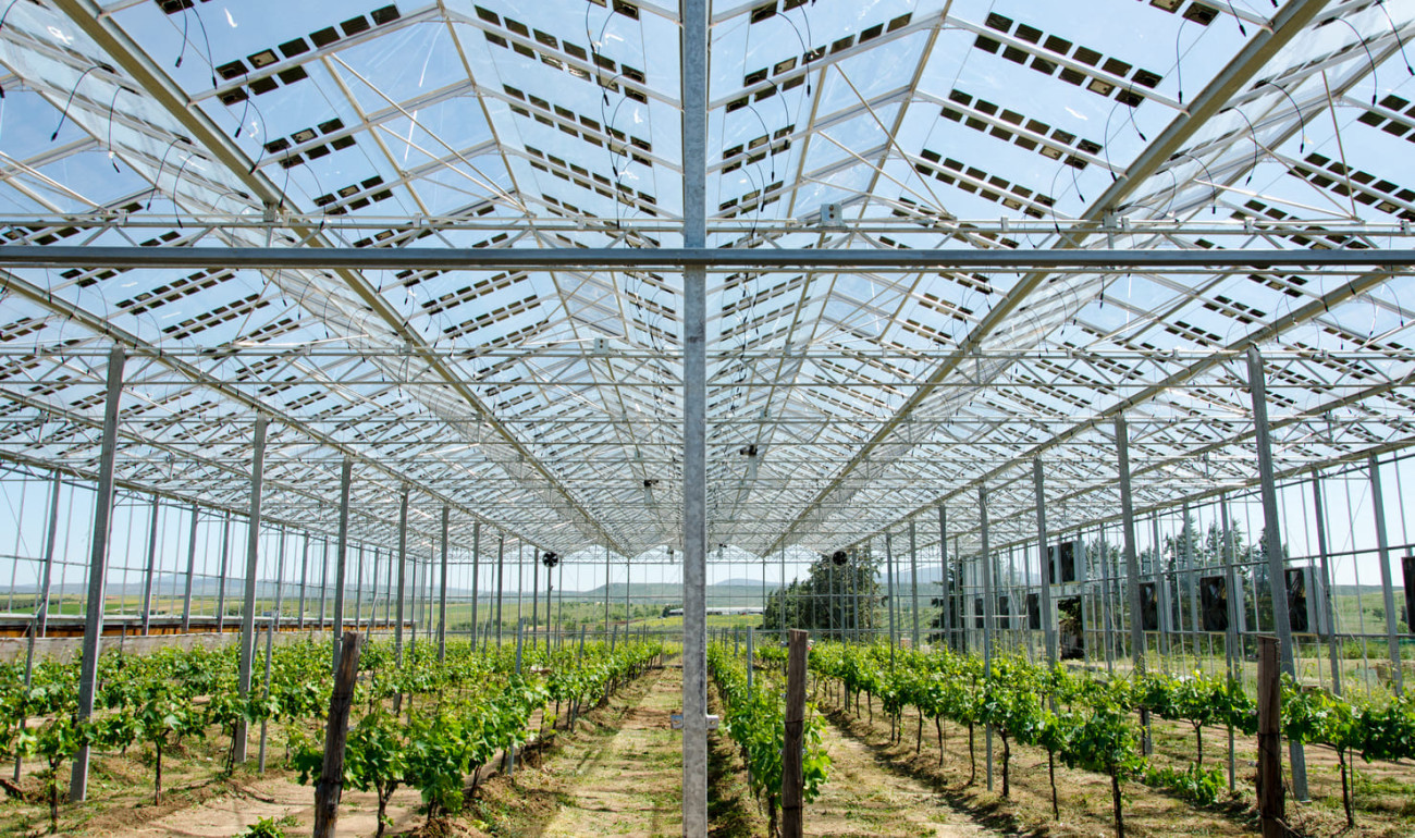 Brite Solar: Η ελληνική startup εντάσσεται στο κλαμπ των επίδοξων ...